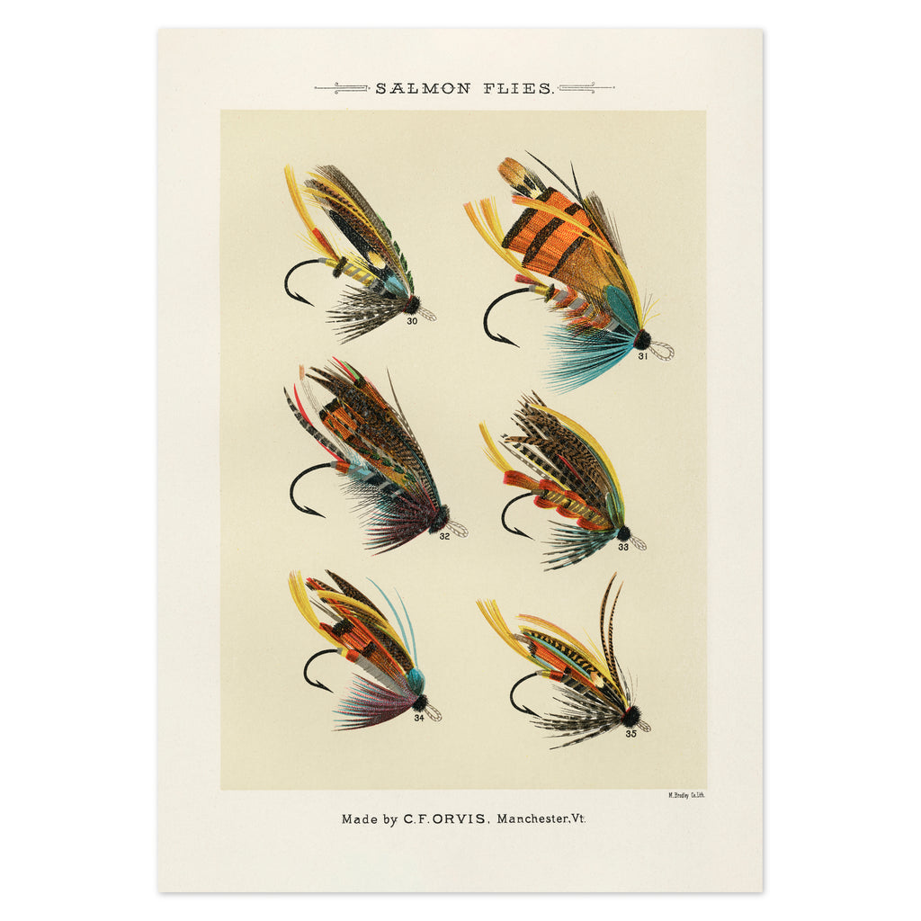 C. F. Orvis - Salmon Flies Poster – Visetto Posters